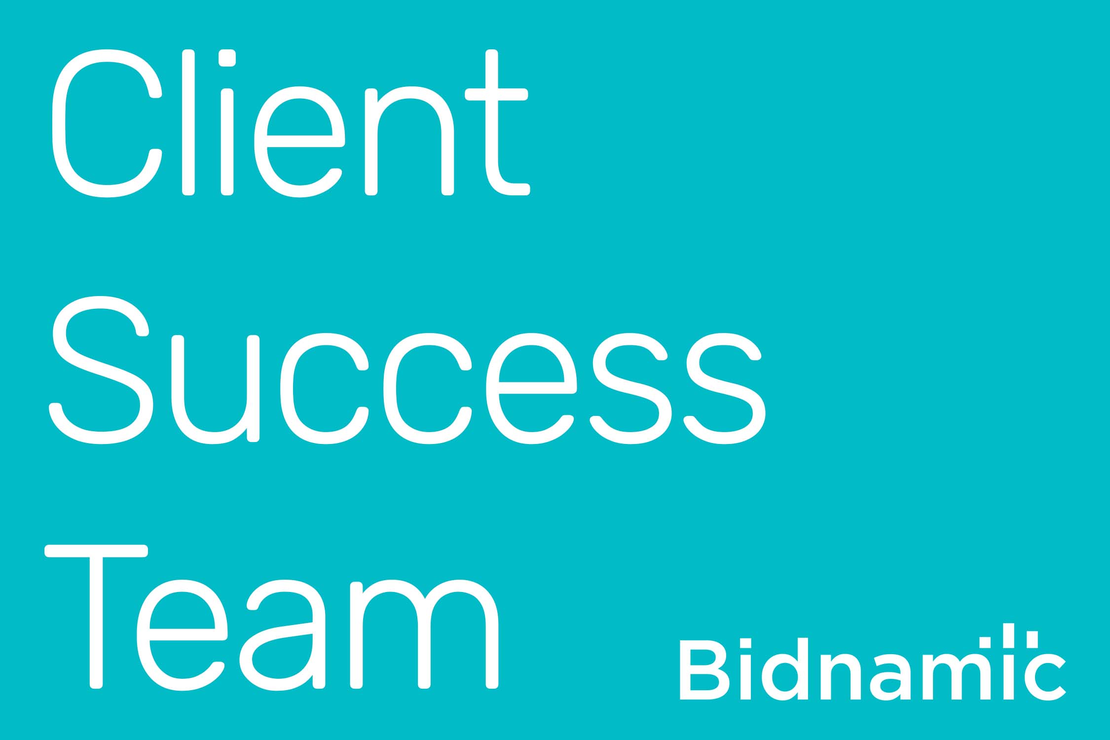 Client Success Team