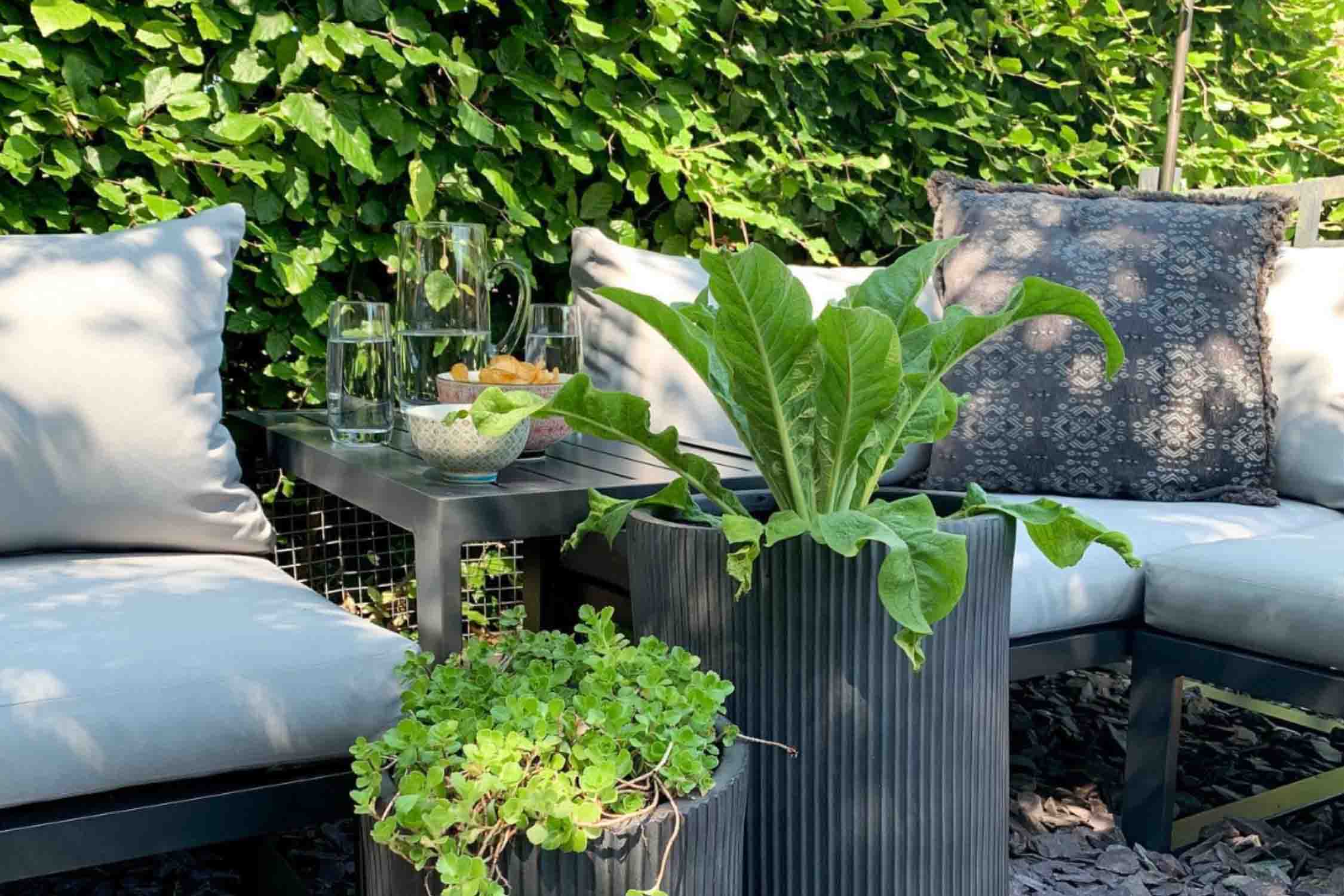 GetPotted.com increases revenue seven-fold using Bidnamic's Targeted ...